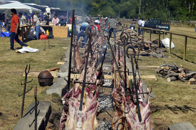En febrero será la Fiesta del Asado de Chivo en Lonquimay - Diario ...