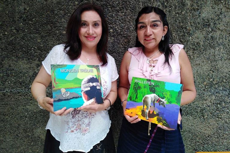 Lanzarán “Pichike Epew”, relatos mapuches para niños - Diario Clave9.cl