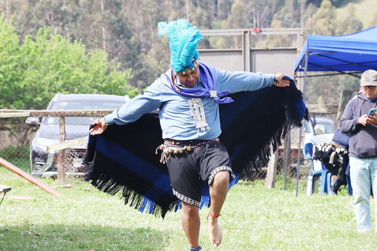 En Nueva Imperial se realizó el primer encuentro de “Choique Purrun ...
