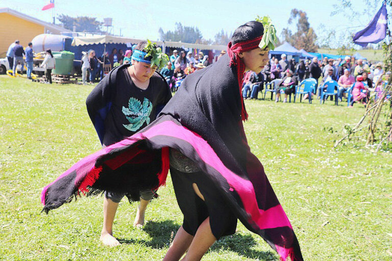 En Nueva Imperial se realizó el primer encuentro de “Choique Purrun ...