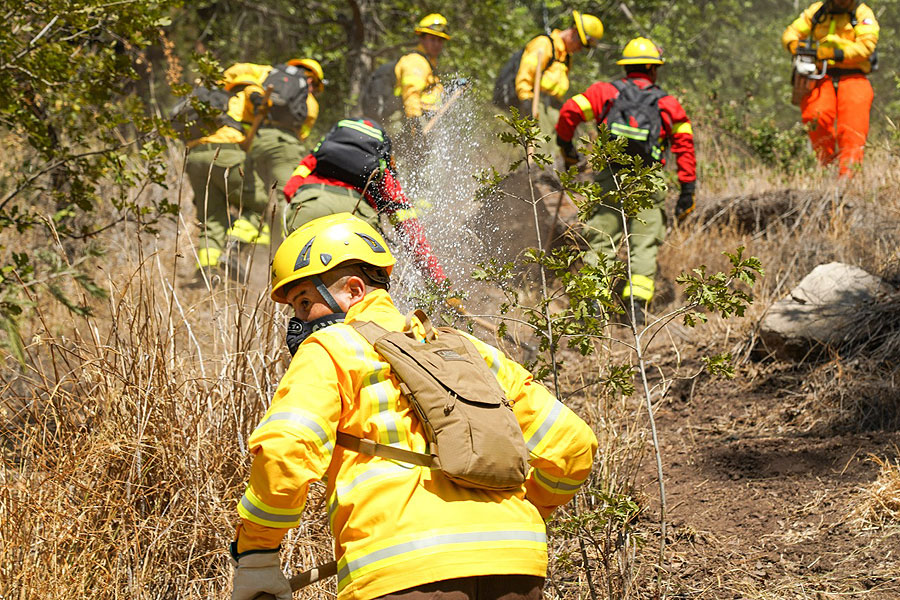 Más De 300 Brigadistas De Cmpc Combaten Incendios Forestales Rurales En