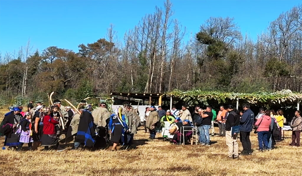 Comunidad mapuche ”Pitriqueo” en Ercilla celebró entrega de tierras ...